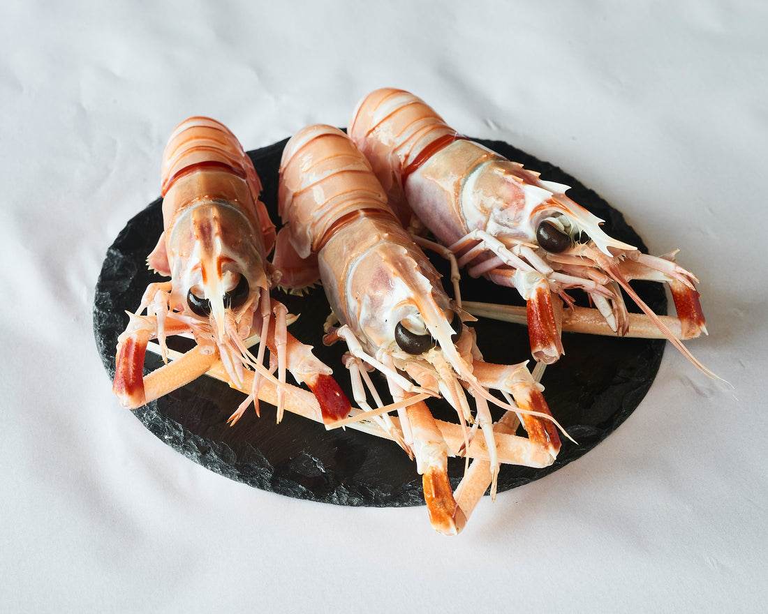 Buy Fresh Sydney Scampi Online - Premium Quality Seafood Delivered to ...